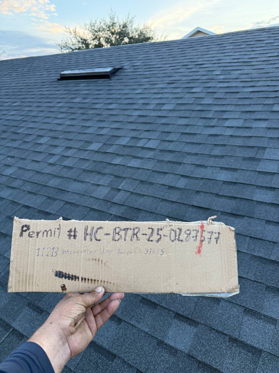 Tampa, FL – Shingle Roof – Sunprise